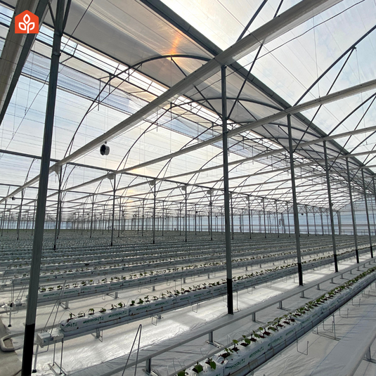 Colecciones – Invermex