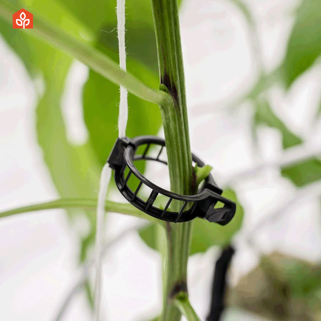 Accesorios para invernadero – Invermex