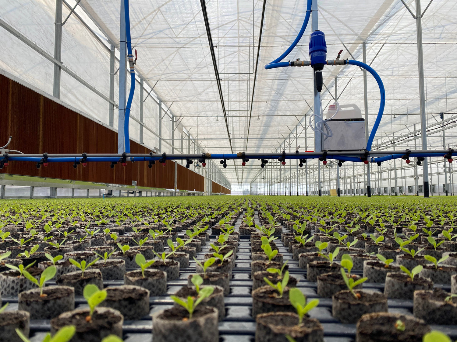 Colecciones – Tienda en línea Invermex